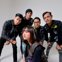 Stereo Wall Band | TikTok Music Search
