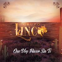 Grupo Lince & H.T Productions | TikTok Music Search