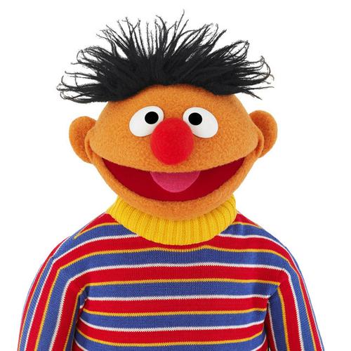Sesame Street Ernie Face