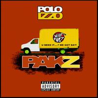 PAKZ | TikTok Music Search