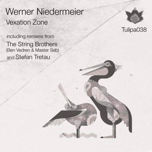 Drama Zone (Stefan Tretau Remix) Official TikTok Music - Werner ...
