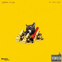 Endless Loops | TikTok Music Search