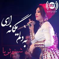 Shabnam | TikTok Music Search