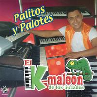 Palitos Y Palotes | TikTok Music Search