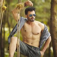 Dev Gil | TikTok Music Search