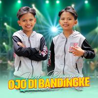 OOJO DI BANDENGKE | TikTok Music Search