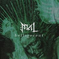 Belligerent | TikTok Music Search