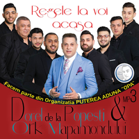 Regele La Voi Acasa | TikTok Music Search