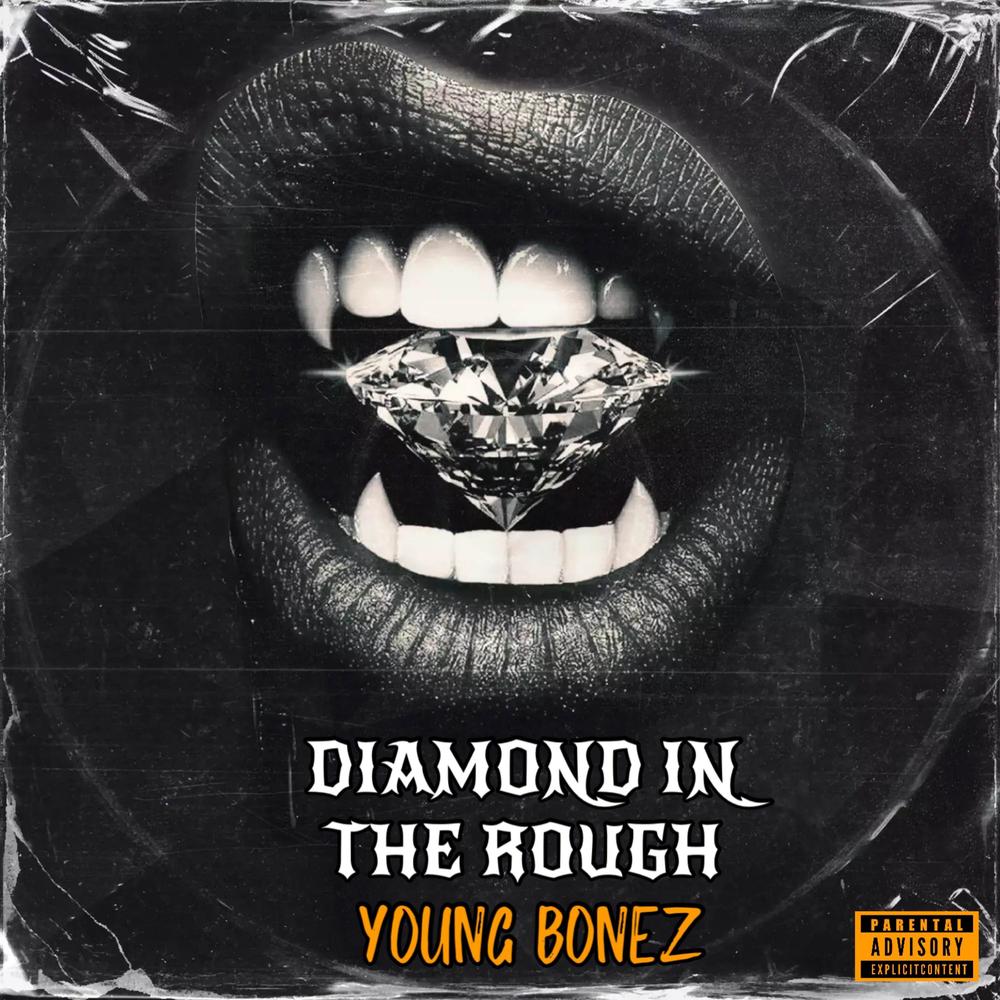 Diamonds In The Rough Album Cover