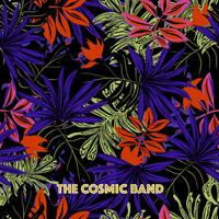 The Cosmic Band | TikTok Music Search