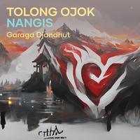 Garaga 2 Meter | TikTok Music Search