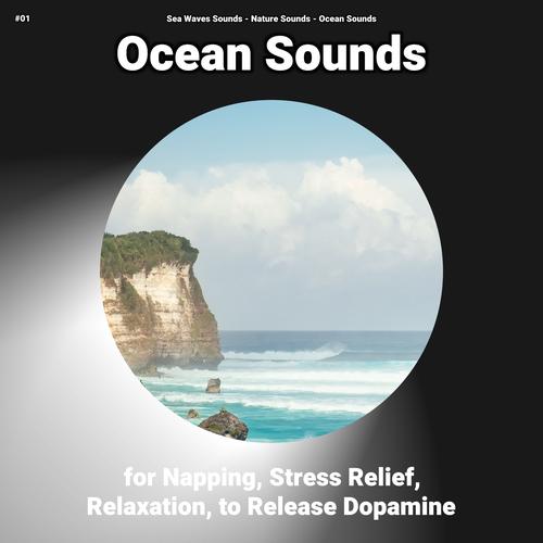 Beach Waves Background Noises for a Romantic Atmosphere Official TikTok ...