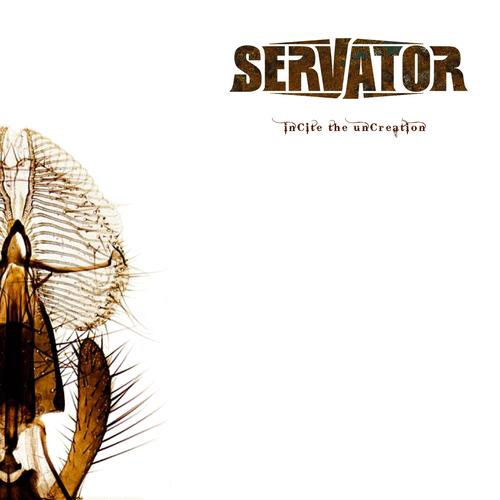 Chain Reaction Official TikTok Music - Servator - Listening To Music On ...