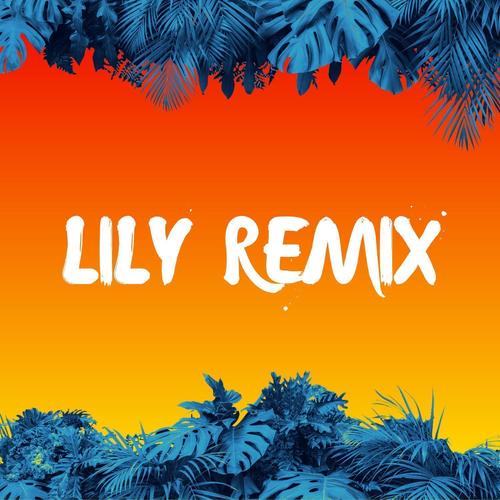 DJ Tania x Ba Pinjam Barang Official TikTok Music - Lily Remix ...