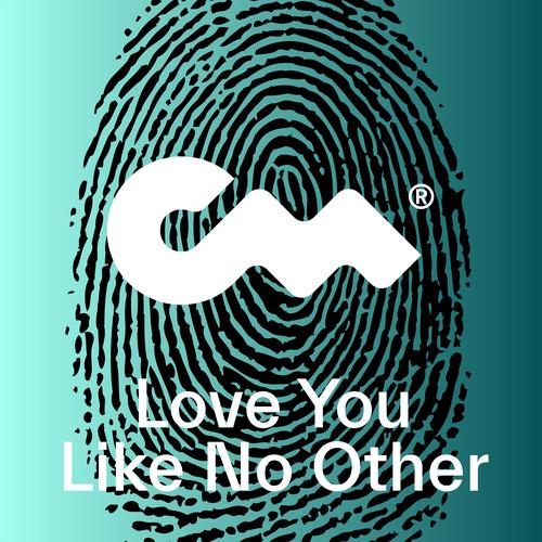Love You Like No Other Official TikTok Music - Fluwence-Nikki Paige ...