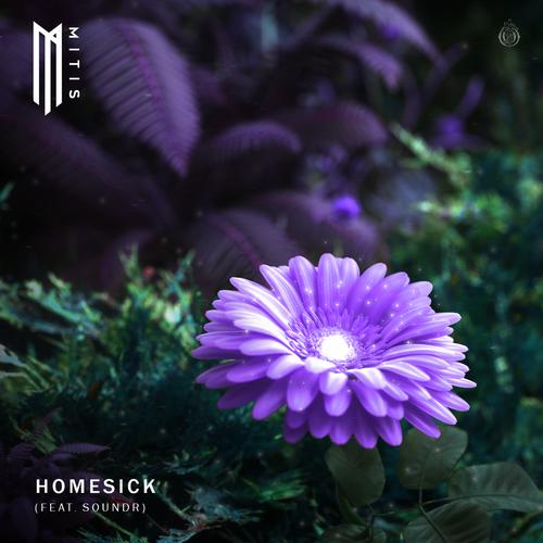 Homesick Album Cover Wallpaper