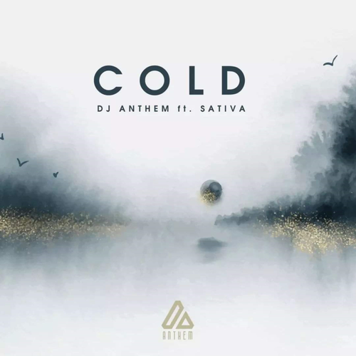 Cold Official TikTok Music - DJ Anthem-Sativa - Listening To Music On ...
