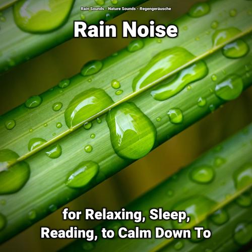 Rain Noise Pt. 20 Official TikTok Music - Rain Sounds-Nature Sounds ...