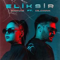Parviz | TikTok Music Search