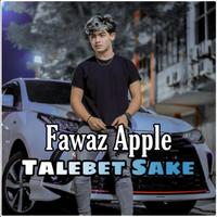 Talebet Sake | TikTok Music Search