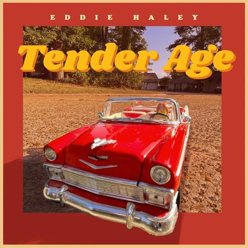 The Writer & The Fool Official TikTok Music - Eddie Haley - Listening ...
