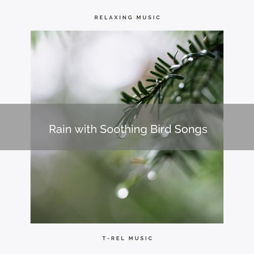 Rain Unique Music and Bird Tweets pt. 2 Official TikTok Music - Rain ...