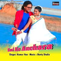 Sari Ke Anchara | TikTok Music Search