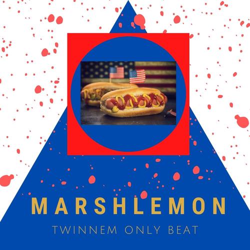 TWINNEM ONLY BEAT Official TikTok Music - Marshlemon - Listening To ...