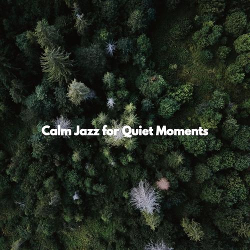 Awesome Real Hours Official TikTok Music - Chill Out Jazz Radio ...