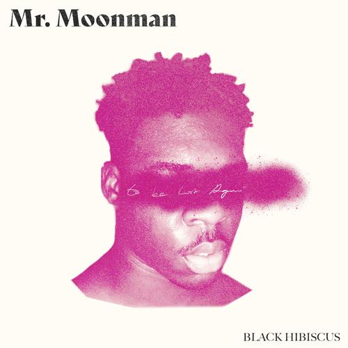 Mr. Moonman Official TikTok Music | album by Black Hibiscus - Listening ...