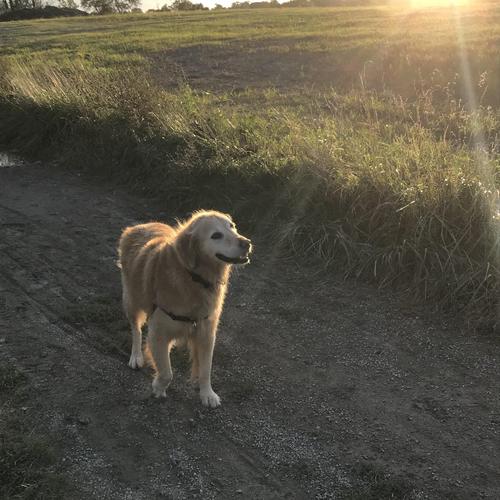 William Buda Official TikTok Music - List of songs and albums by ...