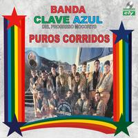 Clave Azul | TikTok Music Search
