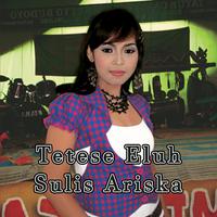 Sulis Ariska | TikTok Music Search