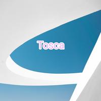 Tosca Significado | TikTok Music Search