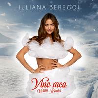 Vina Mea | TikTok Music Search