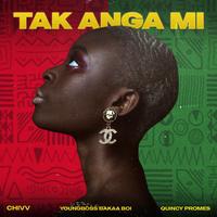 Tak Anga Mi | TikTok Music Search