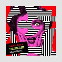 Catalin Sima | TikTok Music Search
