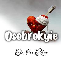 Dr. Paa Bobo | TikTok Music Search