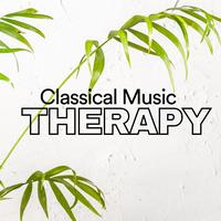 Music Therapy: Classical | TikTok Music Search