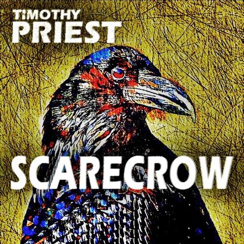 Scarecrow Official TikTok Music - Timothy Priest - Listening To Music ...