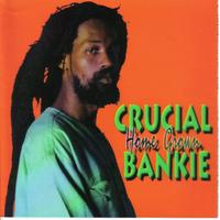 Crucial Bankie | TikTok Music Search