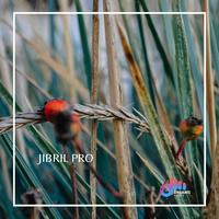 Dj Chachun Main Yana Slowed | TikTok Music Search