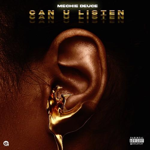 Beats and Leather Seats 2 Official TikTok Music | album by Mechie Deuce - Listening To All 4 ...