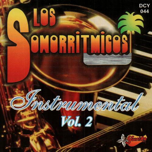 Instrumental Vol. 2 Official TikTok Music | album by Los Sonorritmicos ...