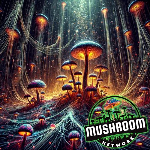 Fungi In My Veins Official TikTok Music - The Mushroom Network ...