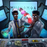 Mushonga | TikTok Music Search
