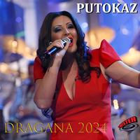 Dragana Mirkovic 2024 | TikTok Music Search