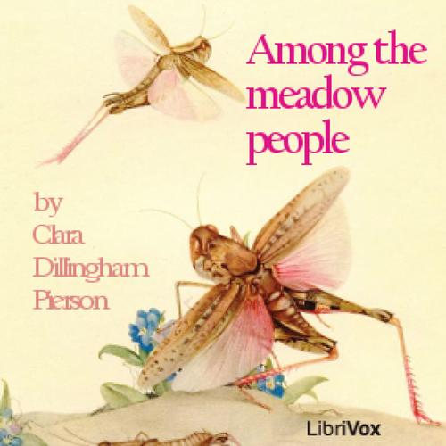 A Puzzled Cicada Official TikTok Music - Jennifer Dorr - Listening To ...