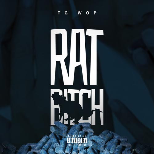 Rat Official TikTok Music - TG WOP - Listening To Music On TikTok Music