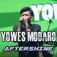 Yowes Mod | TikTok Music Search